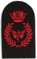 Communications Information Systems (Red badges),SCC Shop