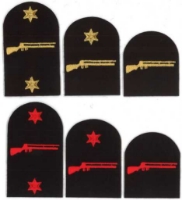 Proficiency Badges,SCC Shop