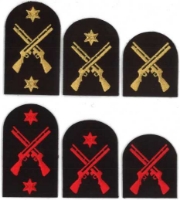 Proficiency Badges,SCC Shop